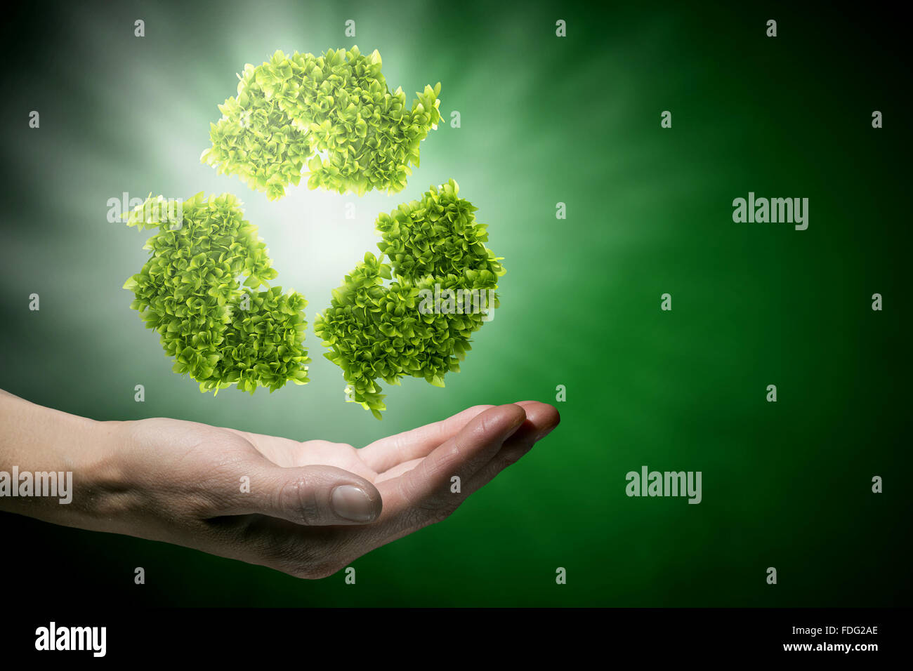 Close up of hand holding green recycle sign Stock Photo - Alamy