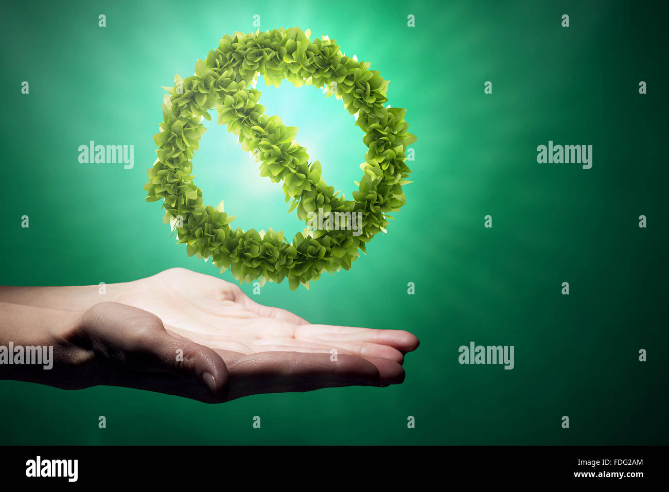 Close up of human hand holding green prohibition sign Stock Photo - Alamy
