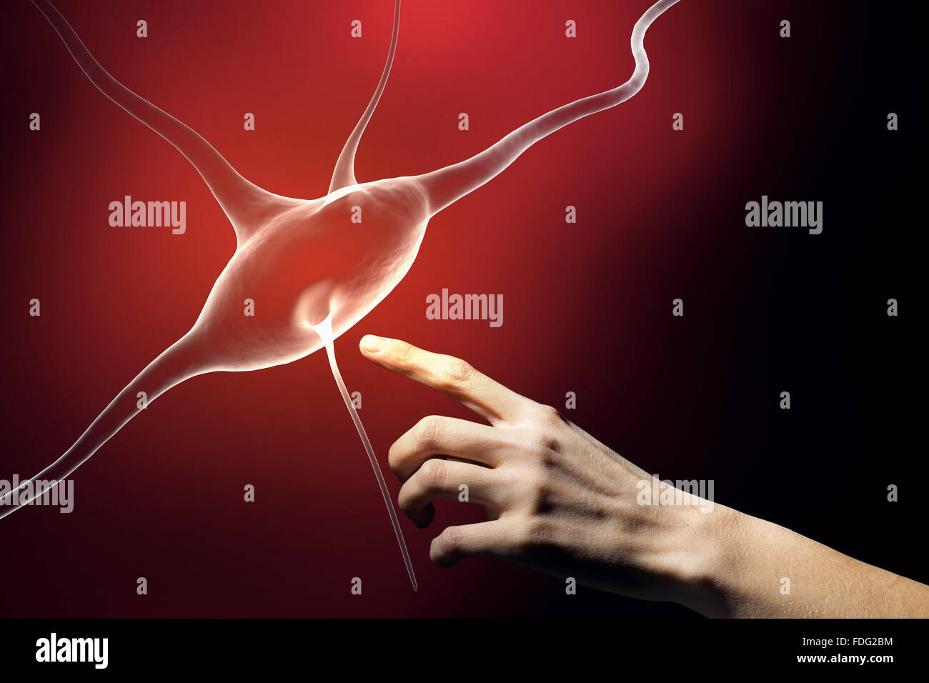 Close up of man hand touching nerve symbol Stock Photo - Alamy