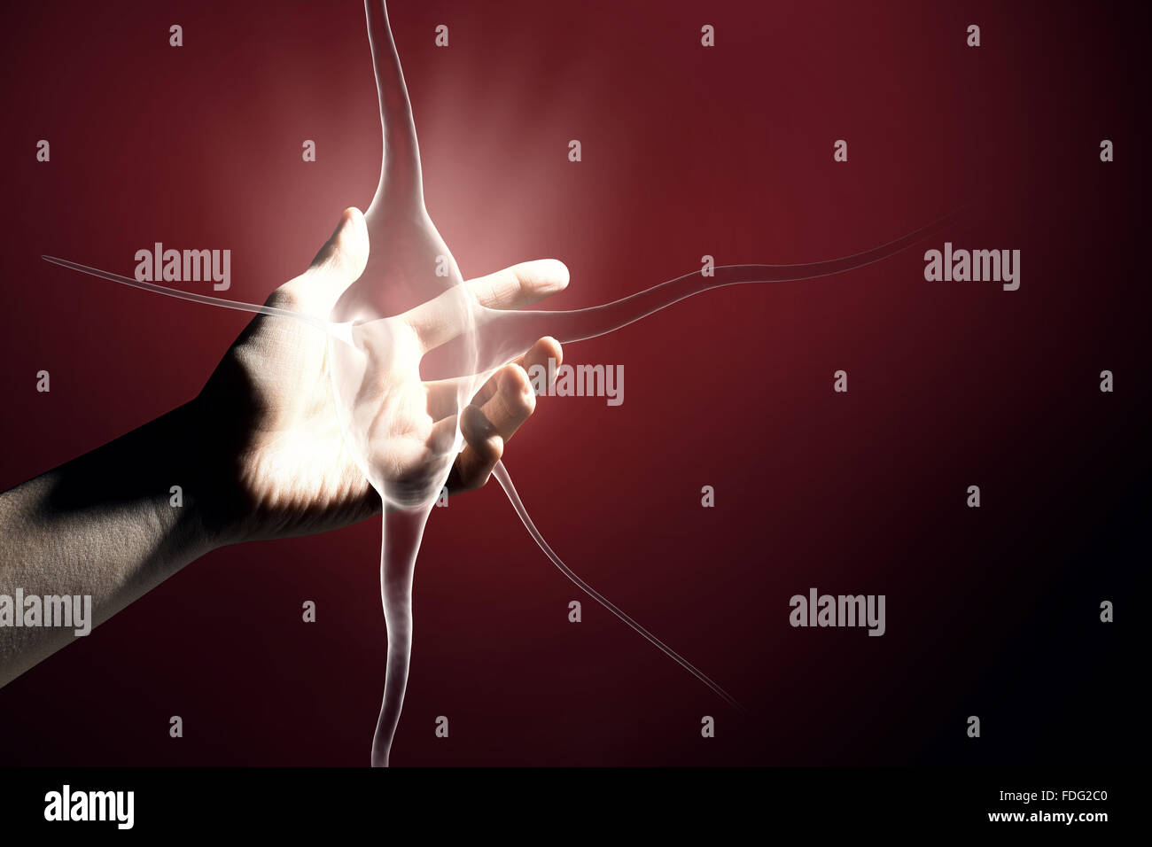 Close up of man hand touching nerve symbol Stock Photo - Alamy