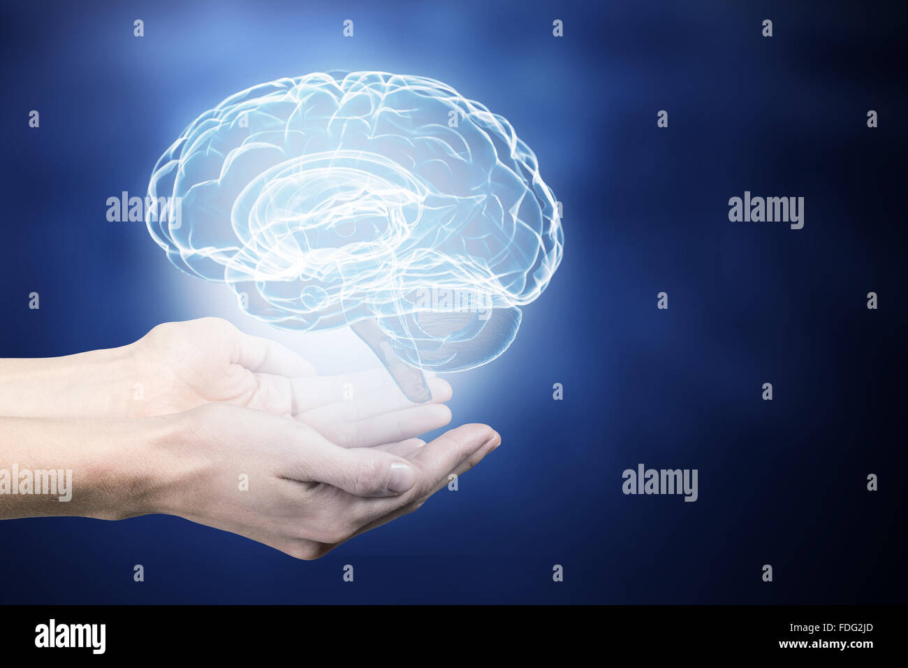 Close up of human hand holding brain Stock Photo - Alamy