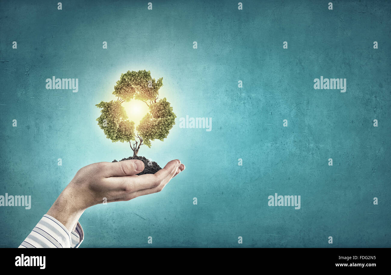 Close up of hand holding green tree concept Stock Photo - Alamy
