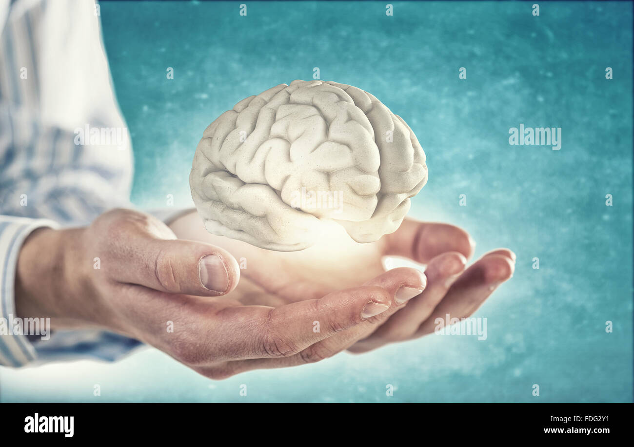 Close up of human hand holding brain Stock Photo - Alamy