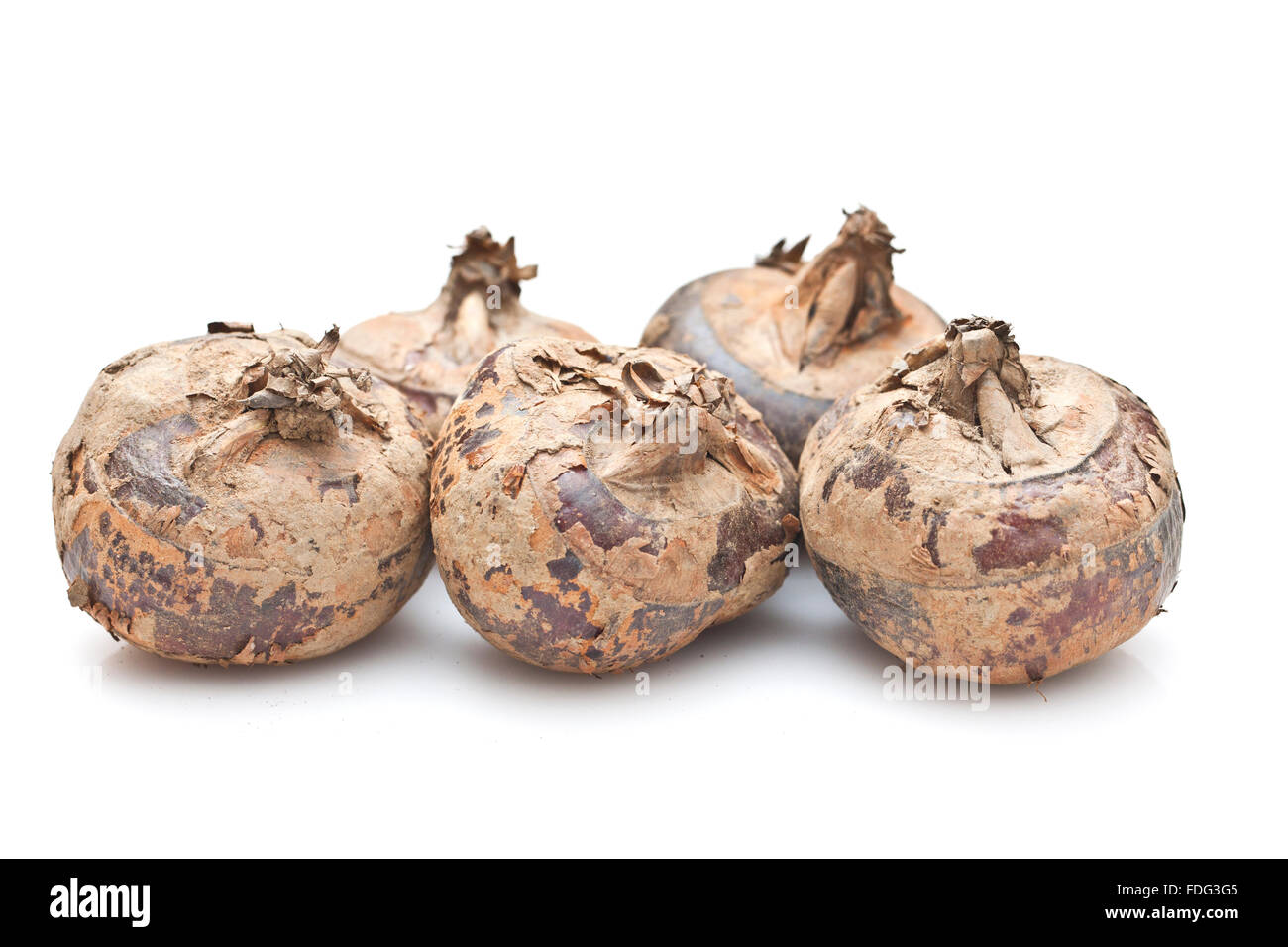 Chestnut hull hi-res stock photography and images - Alamy