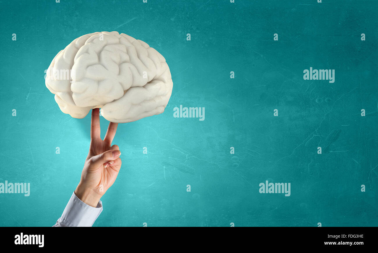 Close up of human hand holding brain Stock Photo - Alamy