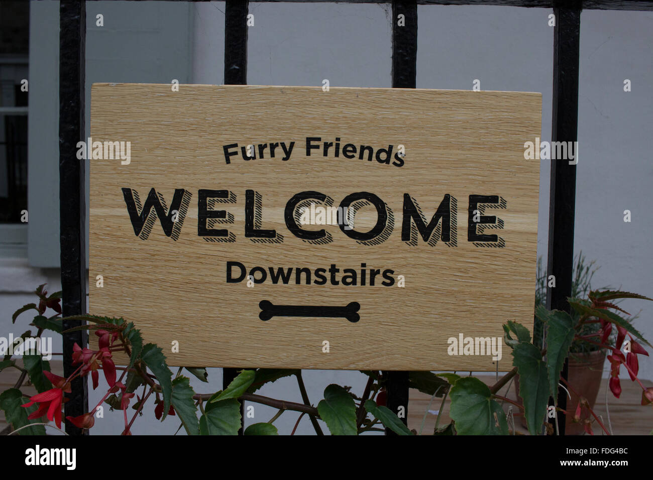 Furry hi-res stock photography and images - Alamy