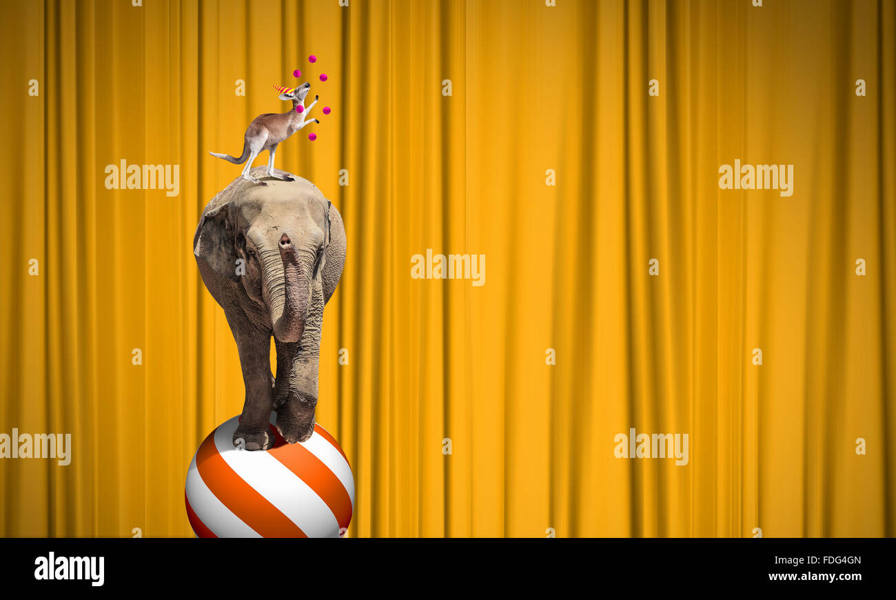 Circus animals standing in stack and balancing on rope Stock Photo - Alamy