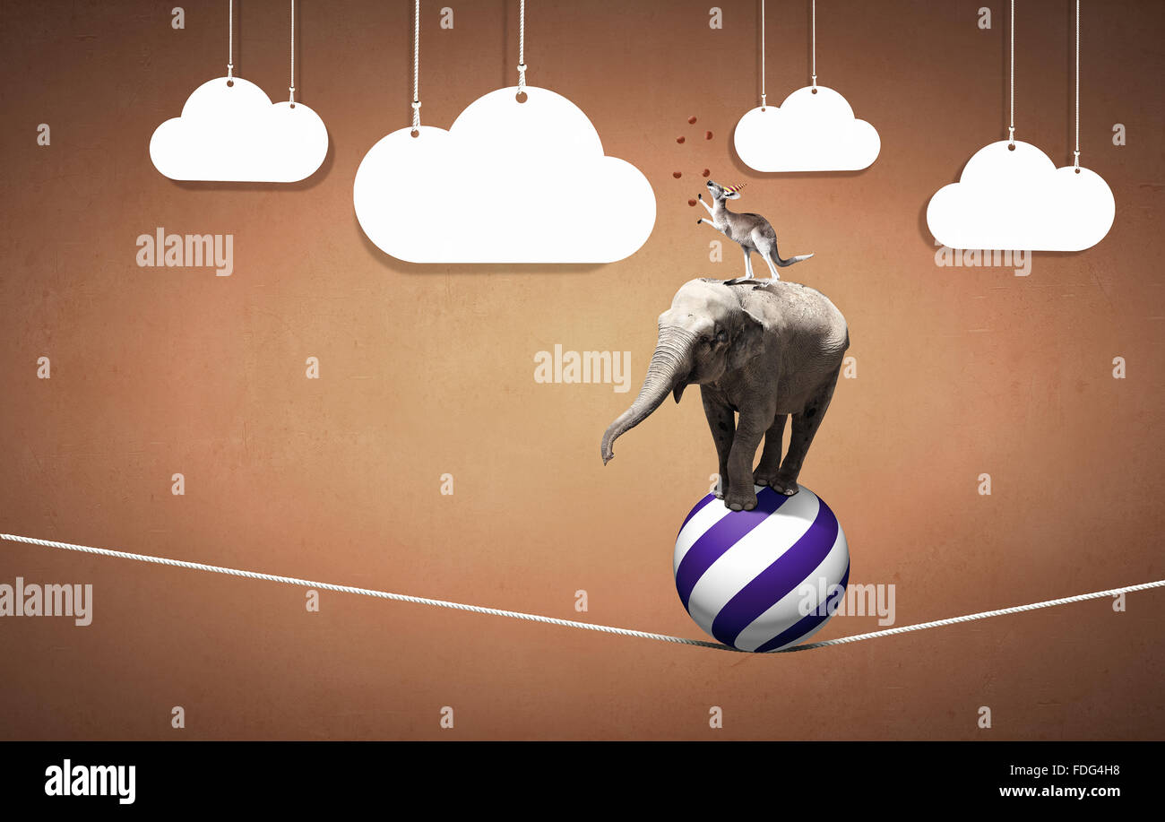 Circus animals standing in stack and balancing on rope Stock Photo - Alamy