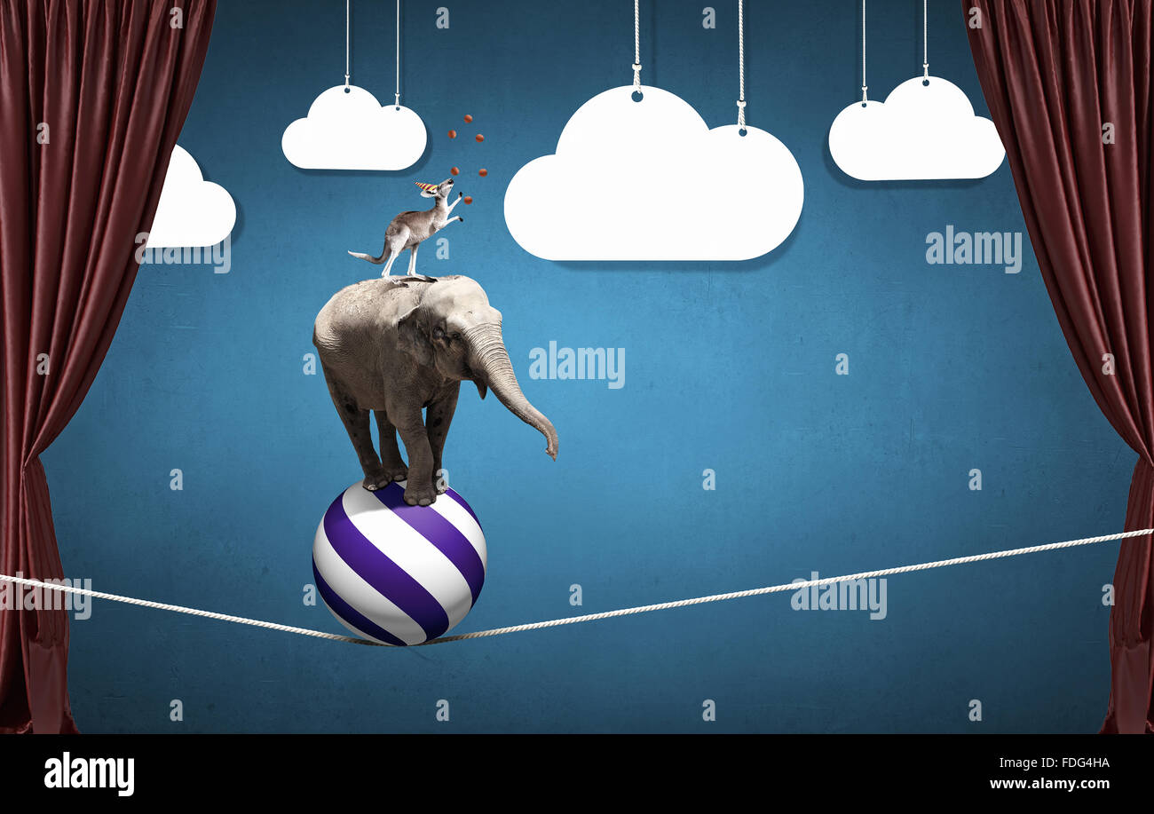 Circus animals standing in stack and balancing on rope Stock Photo - Alamy