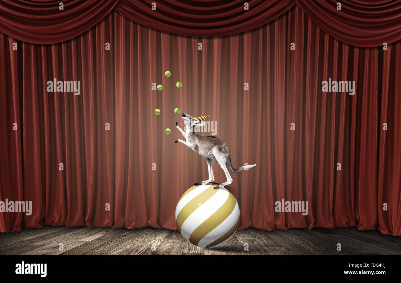 Kangaroo ball hi-res stock photography and images - Alamy