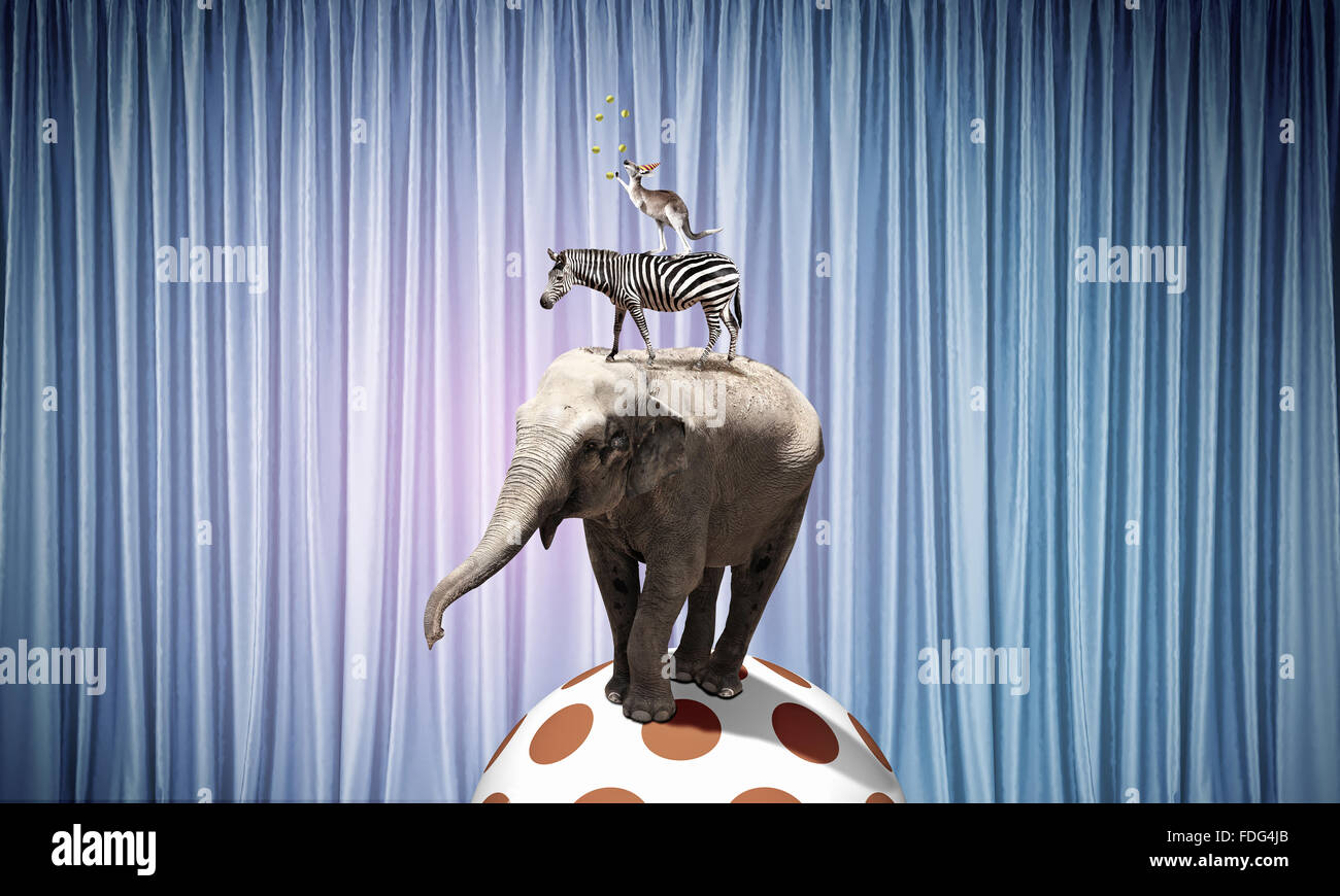 Circus animals standing in stack and balancing on rope Stock Photo - Alamy