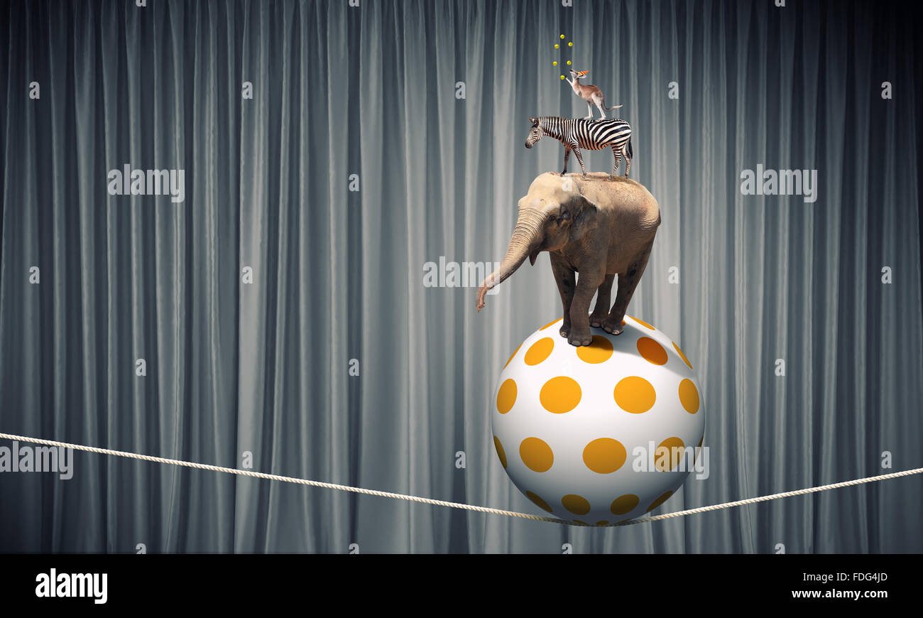 Circus animals standing in stack and balancing on rope Stock Photo - Alamy