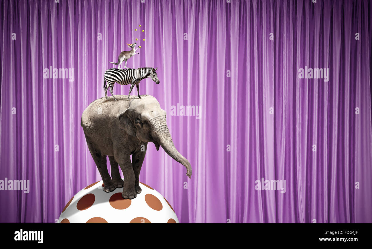 Circus animals standing in stack and balancing on rope Stock Photo - Alamy