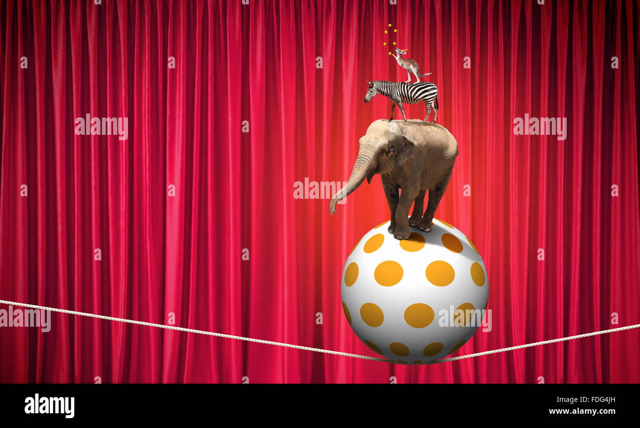Circus animals standing in stack and balancing on rope Stock Photo - Alamy