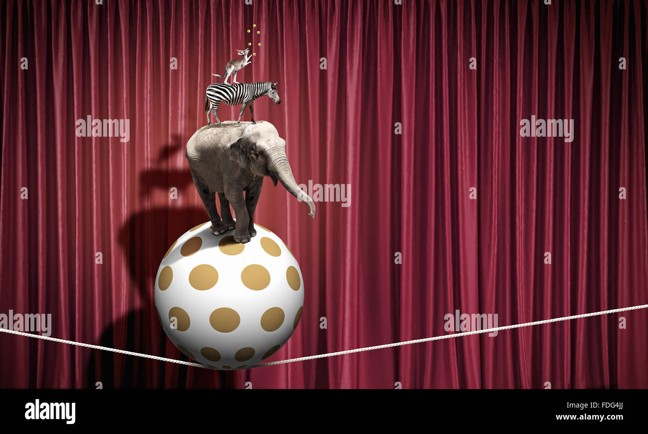 Circus animals standing in stack and balancing on rope Stock Photo - Alamy