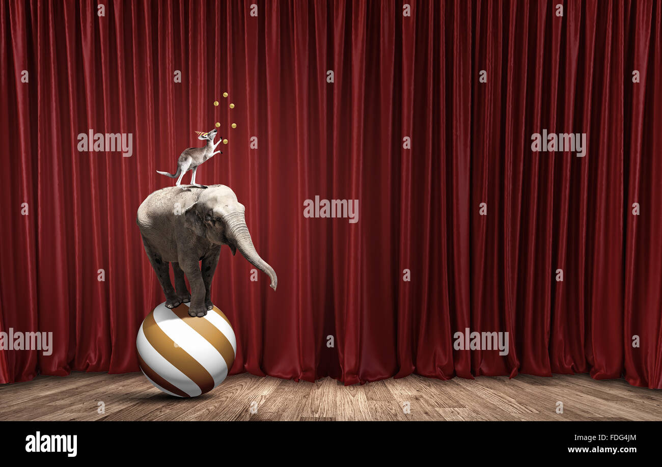 Circus animals standing in stack and balancing on rope Stock Photo - Alamy
