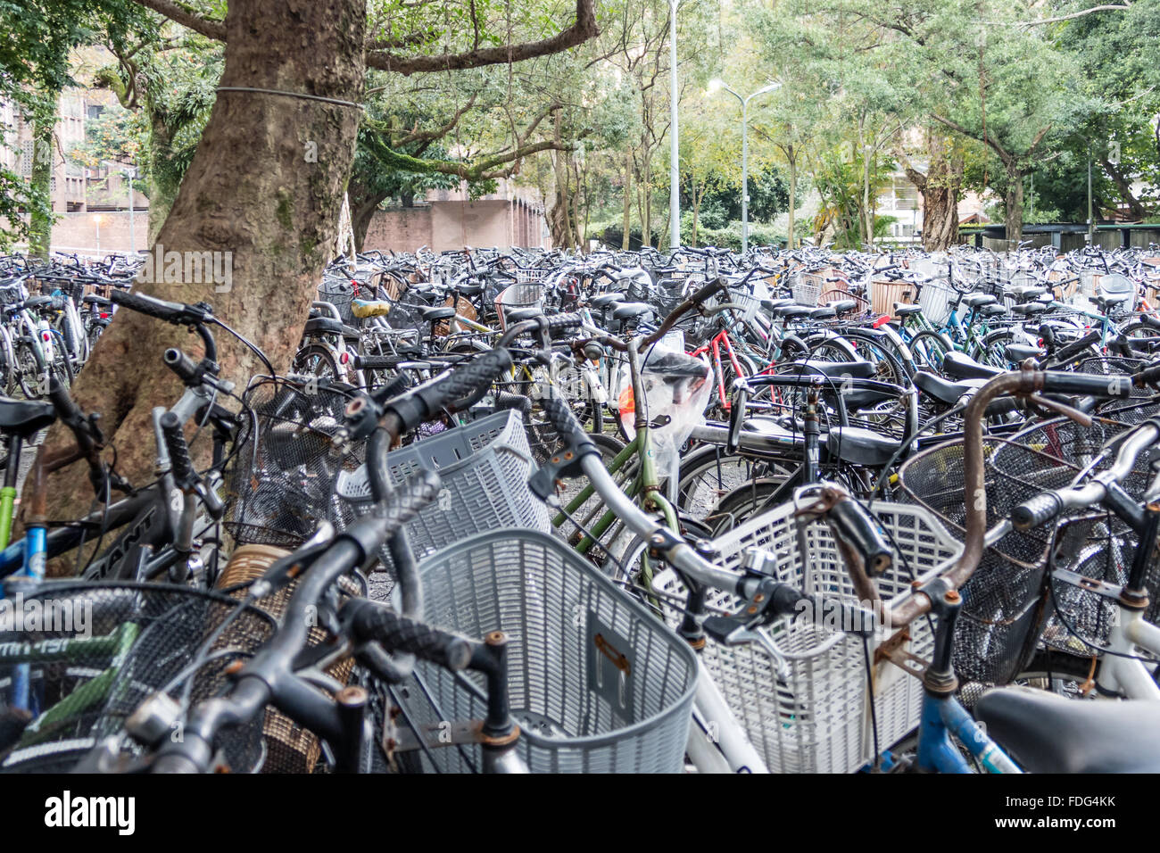 Bicycle parking area hi-res stock photography and images - Alamy