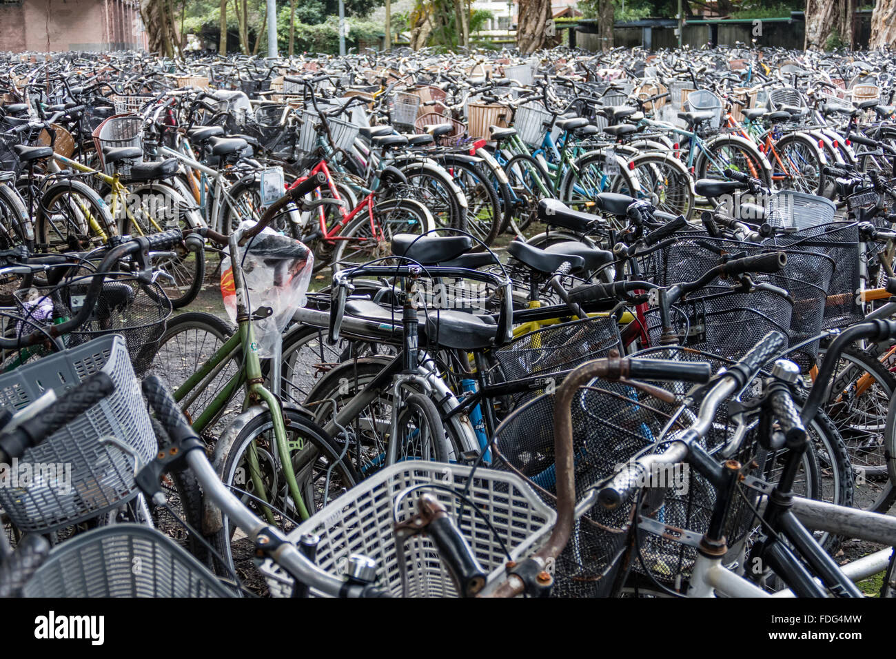 Many bicycles hi-res stock photography and images - Alamy