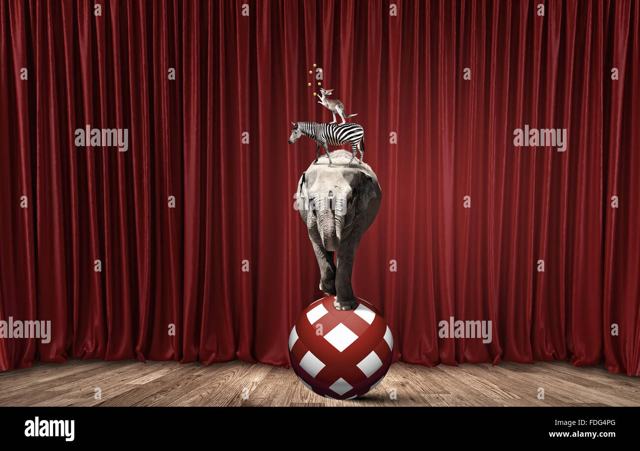 Circus animals standing in stack and balancing on rope Stock Photo - Alamy