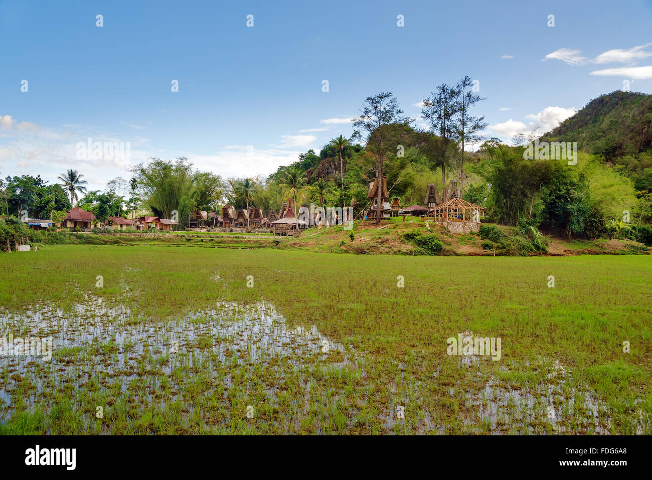 Tongkonan traditional village Kete Kesu. Tana Toraja, Sulawesi ...