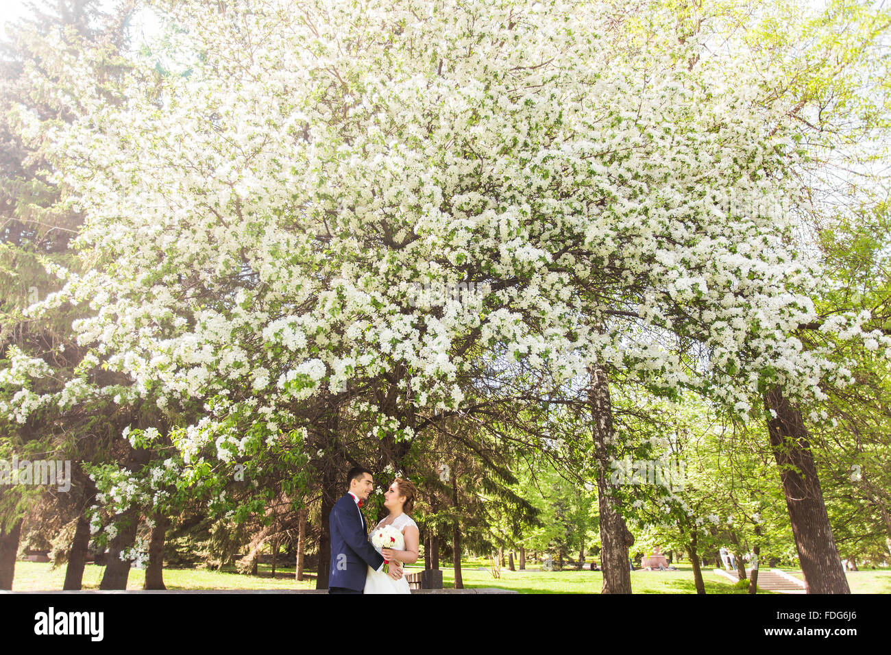 wedding couple in spring nature Stock Photo - Alamy