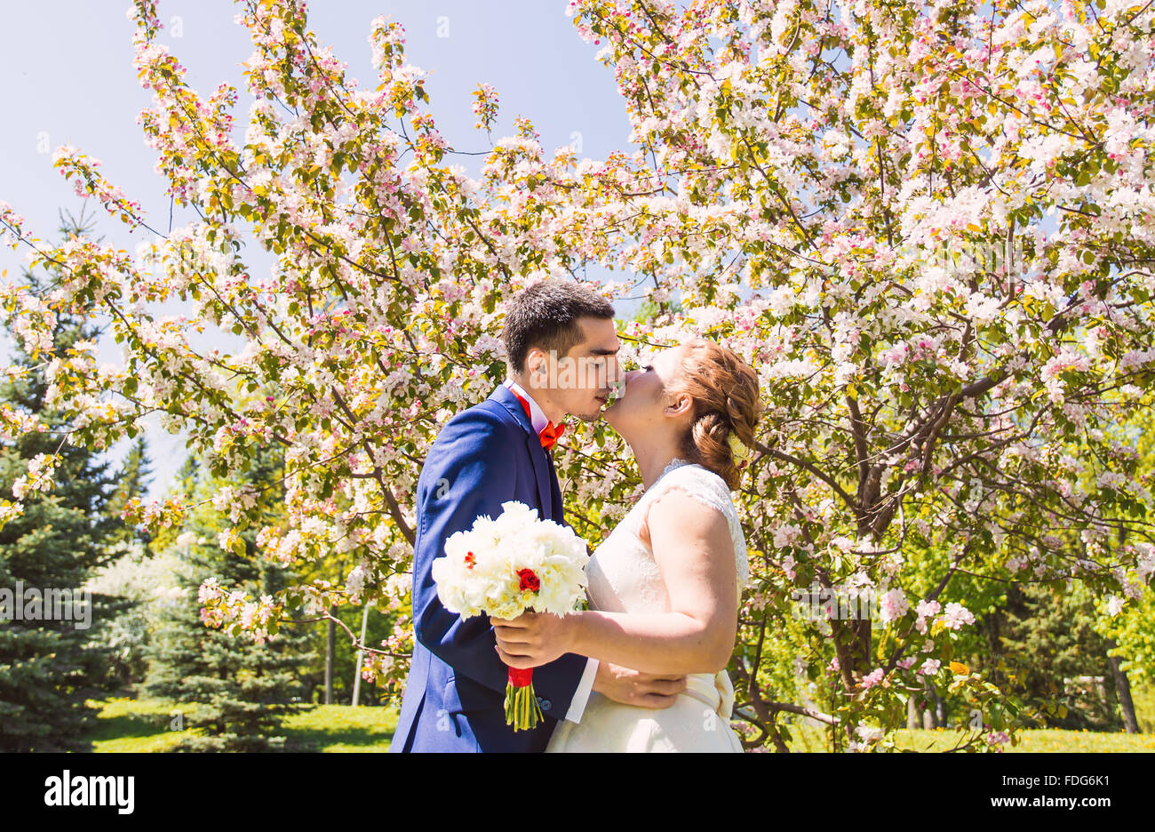 Kissing wedding couple in spring nature Stock Photo - Alamy