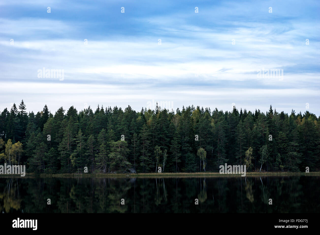 Foreset by lake with blue sky Stock Photo - Alamy