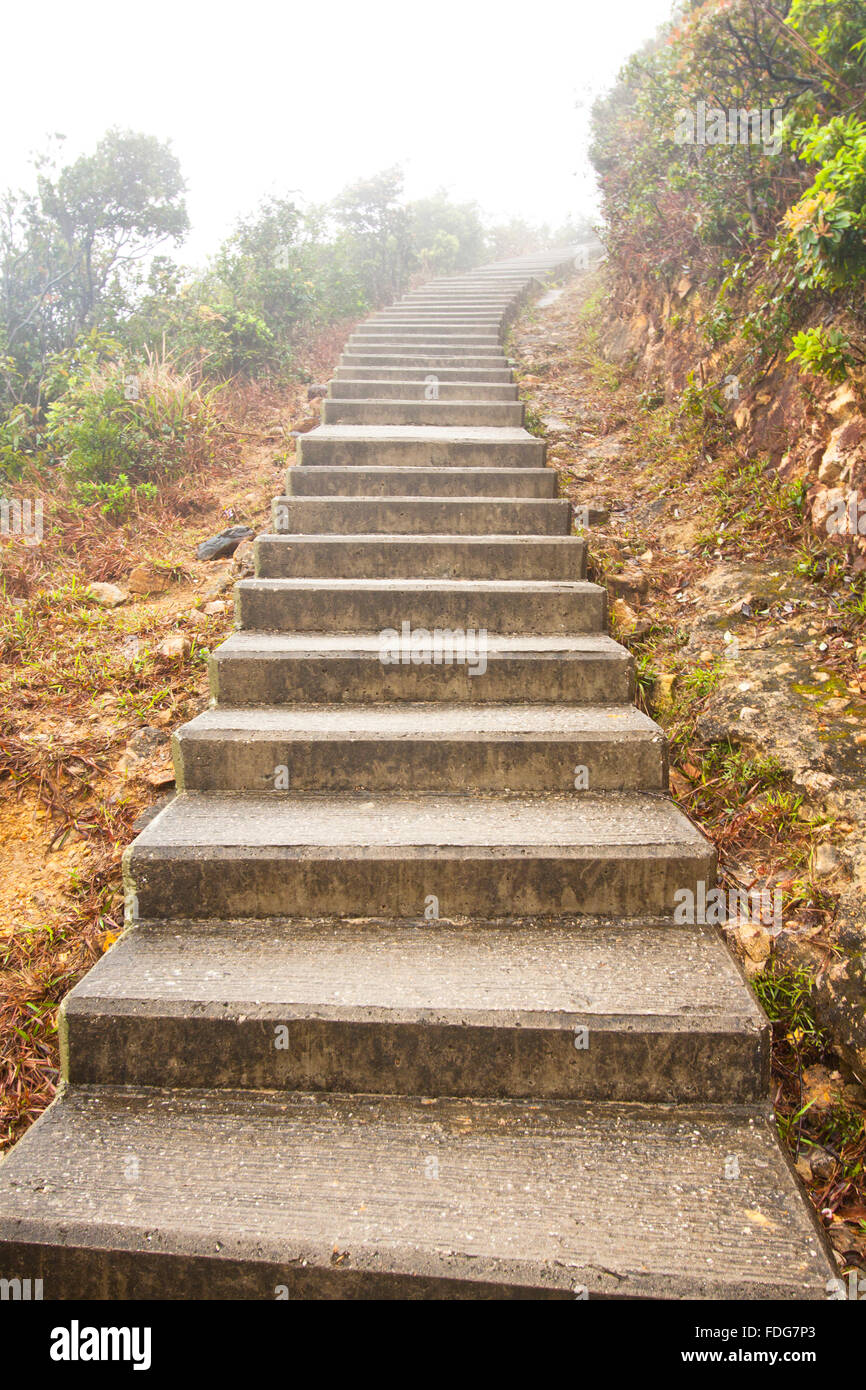 Stairs in hiking trail in Hong Kong Stock Photo - Alamy