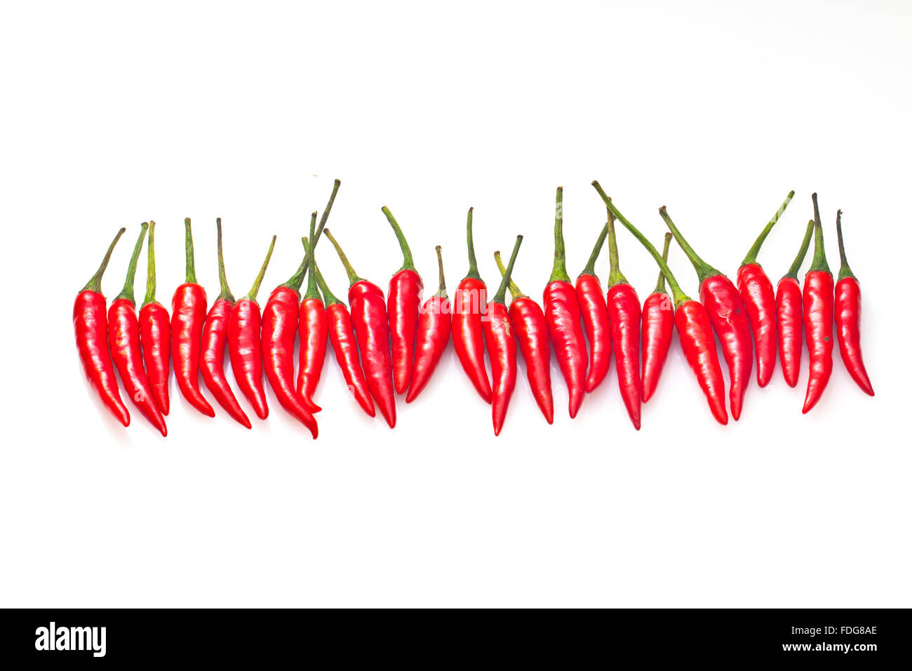 Chilli isolated on white background Stock Photo - Alamy
