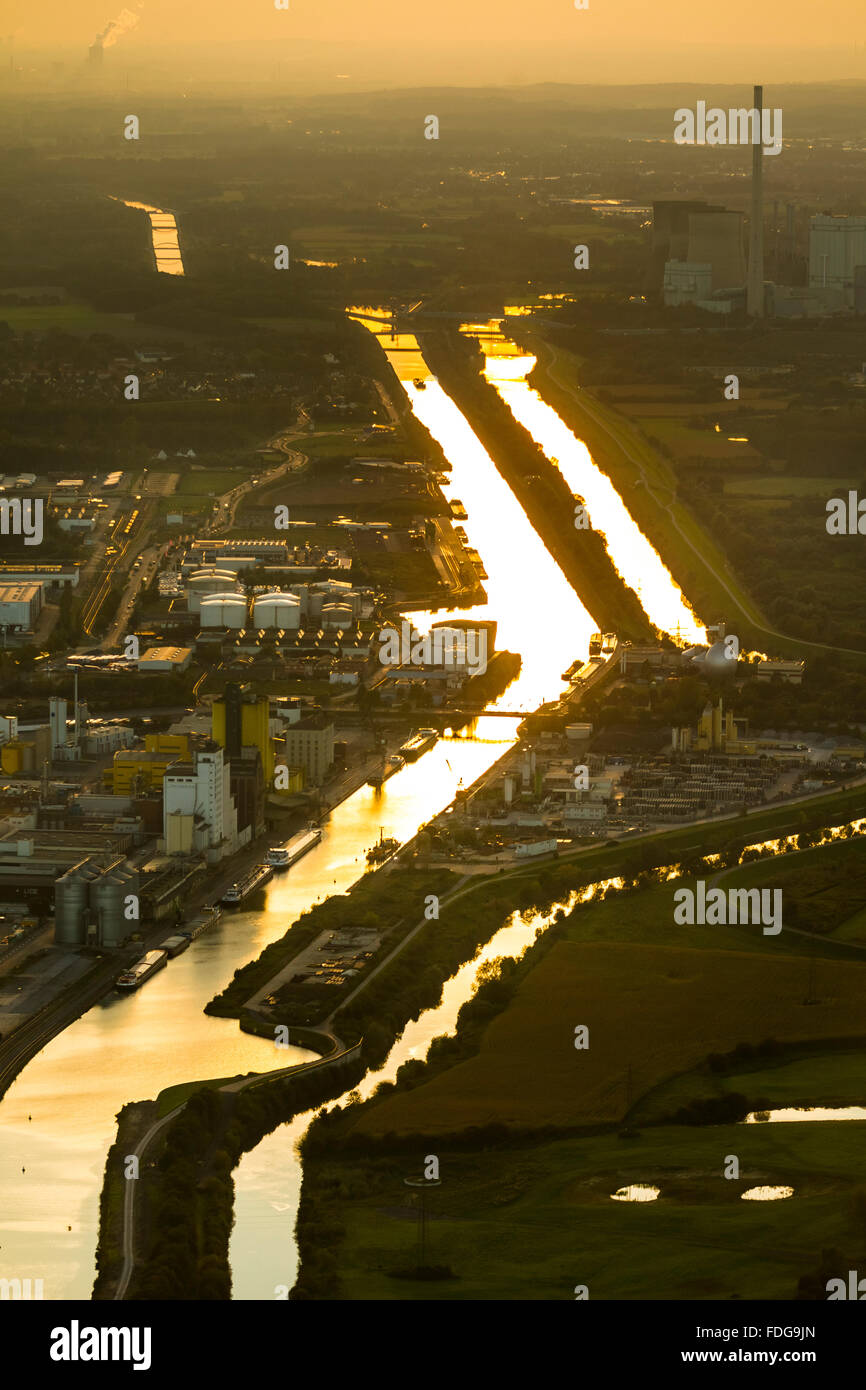 Golden hammer hi-res stock photography and images - Alamy