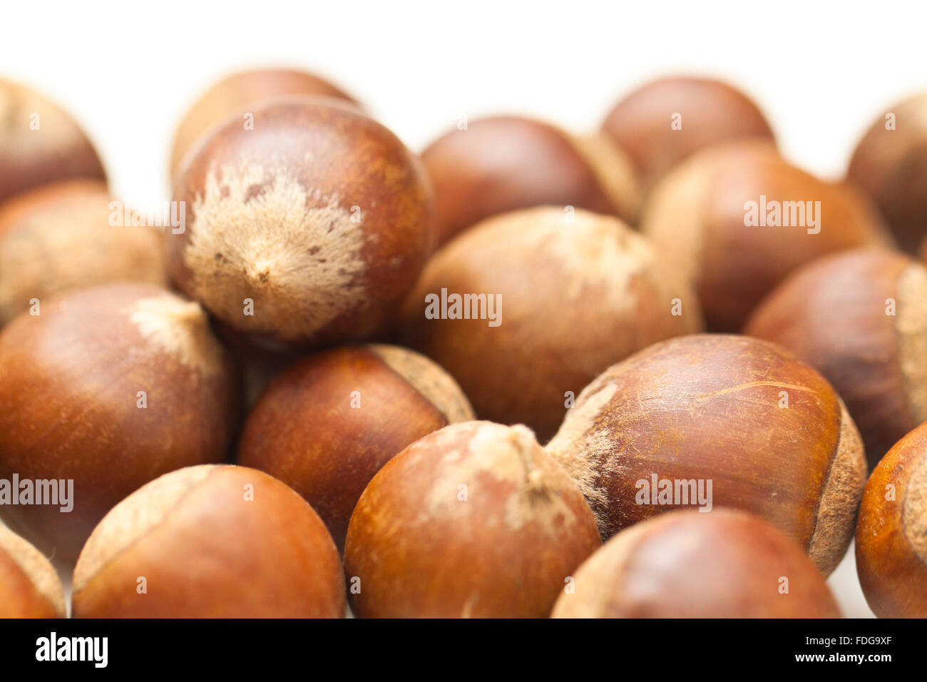 Chestnuts isolated on white background Stock Photo - Alamy