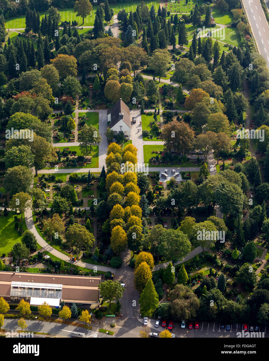 Tree in cemetery hi-res stock photography and images - Alamy