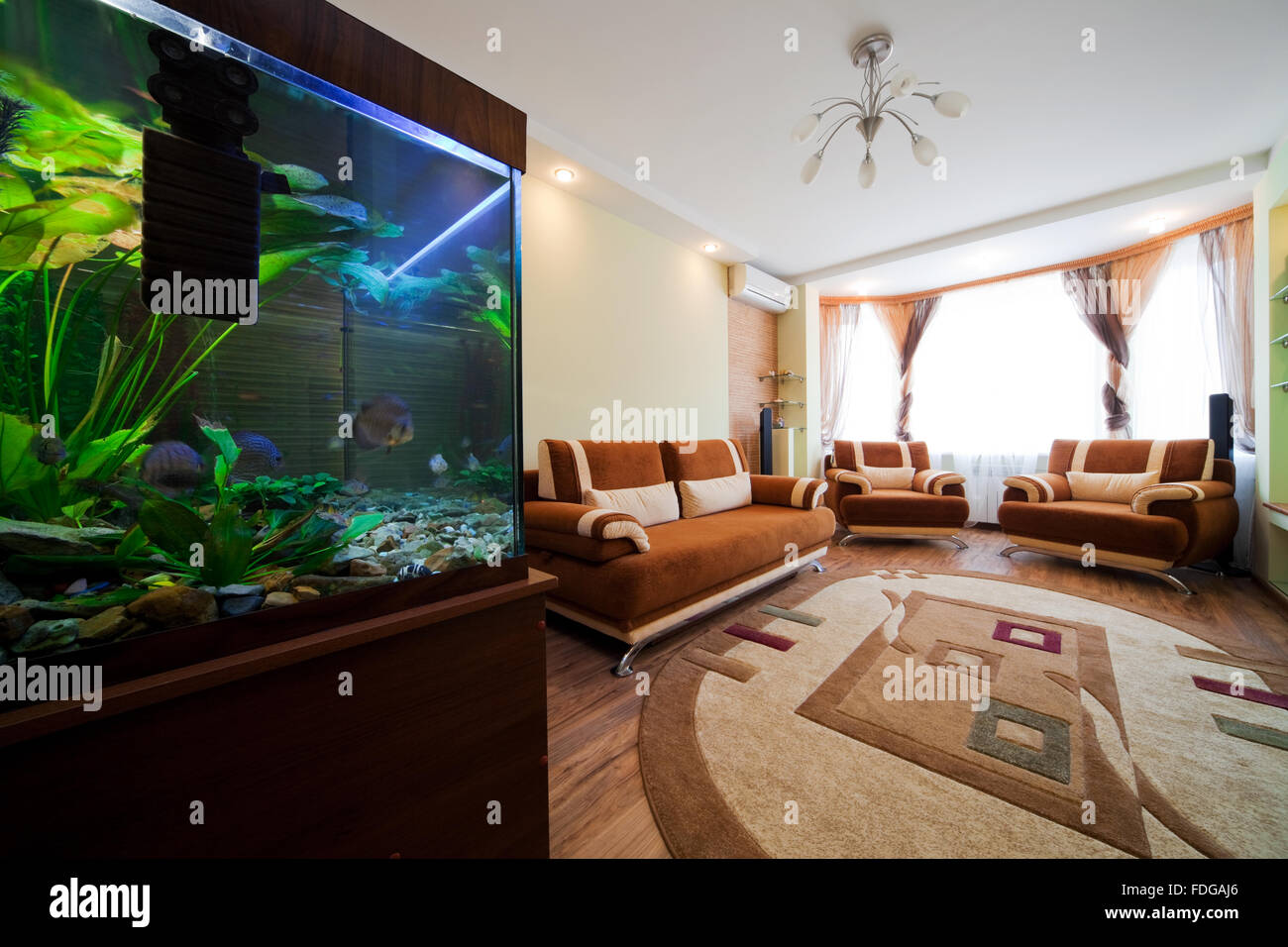Fish Tanks In Apartments
