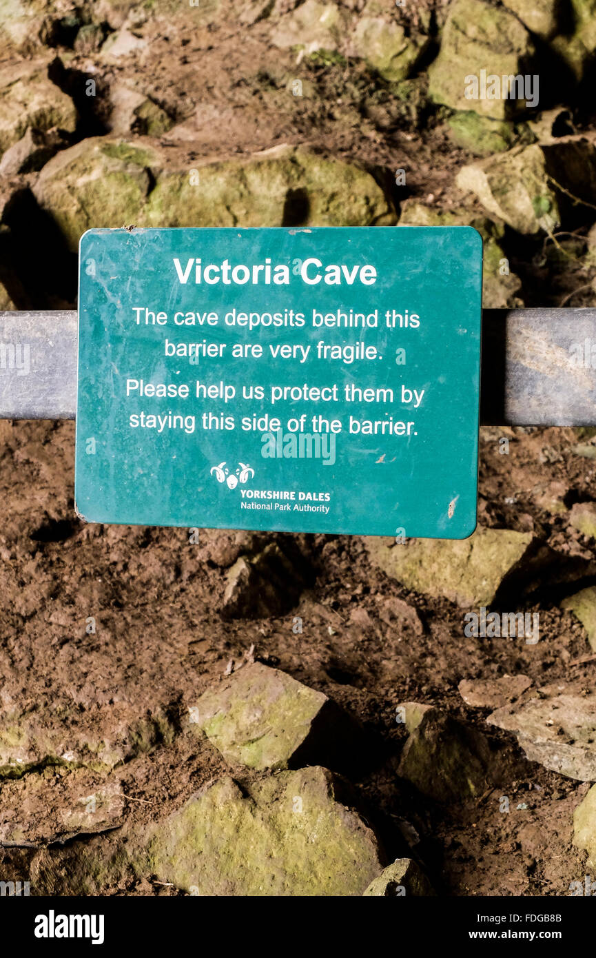 Victoria Cave, Attermire Scar, near Settle, Yorkshire Dales, England ...
