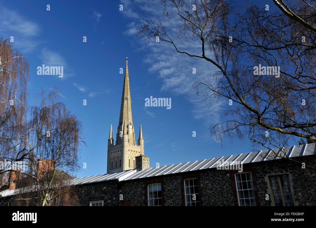 Norwich Cathedral city skyline, Norfolk, UK Stock Photo - Alamy