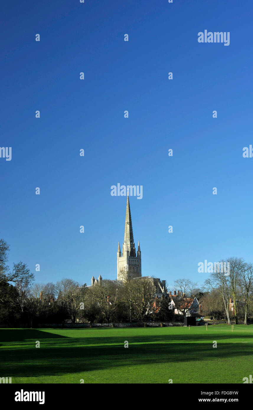 Norwich cathedral on the city skyline, Norfolk, UK Stock Photo - Alamy