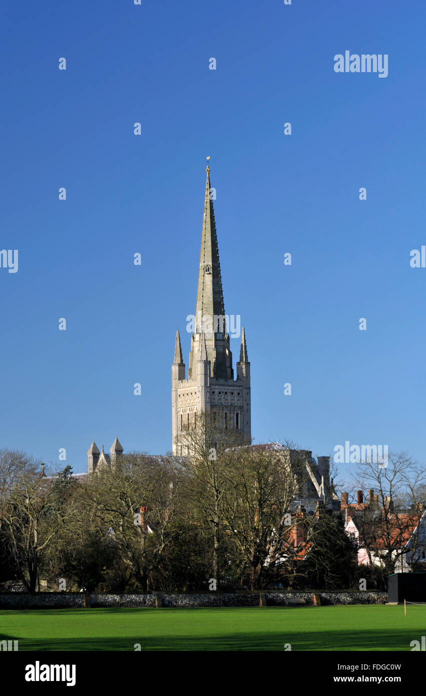 Norwich cathedral on the city skyline, Norfolk, UK Stock Photo - Alamy