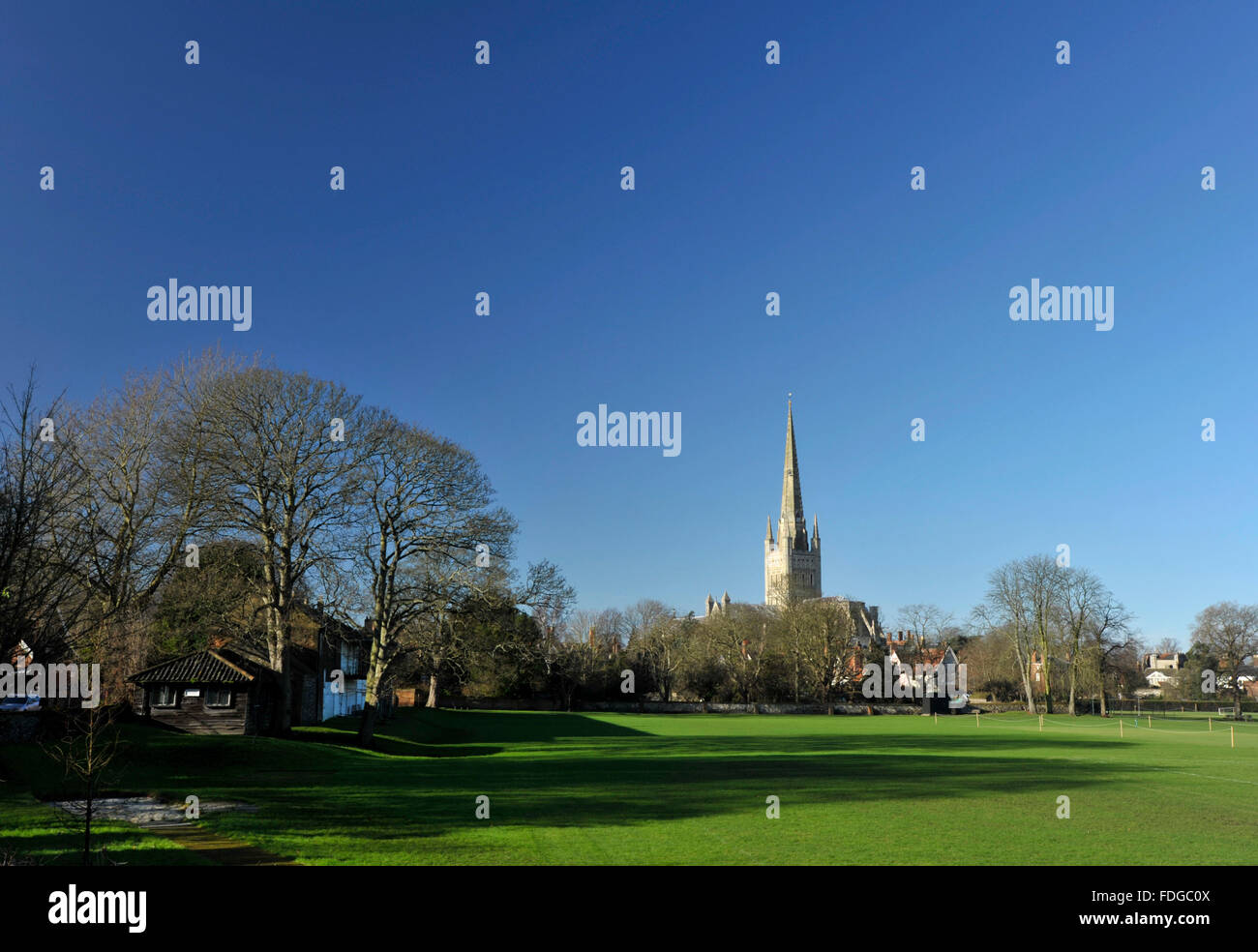 Norwich cathedral on the city skyline, Norfolk, UK Stock Photo - Alamy