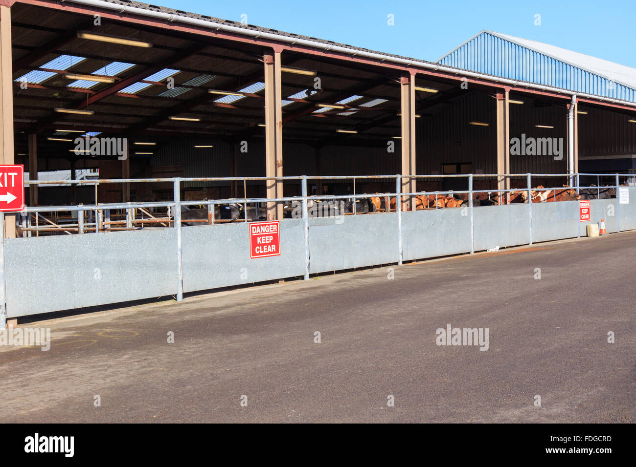 Melton Mowbray Livestock Market Leicsetershire England UK Stock Photo ...