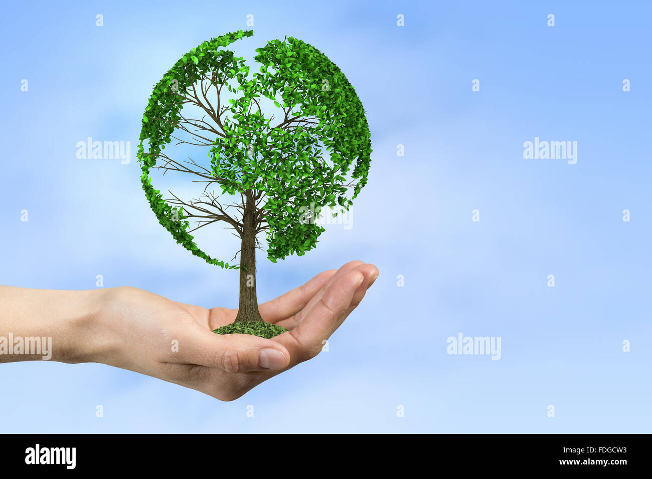 Close up of hand holding green tree concept Stock Photo - Alamy