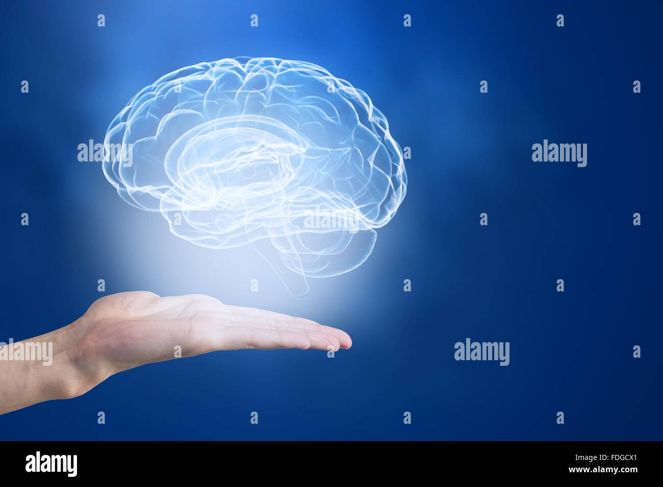 Close up of human hand holding brain Stock Photo - Alamy