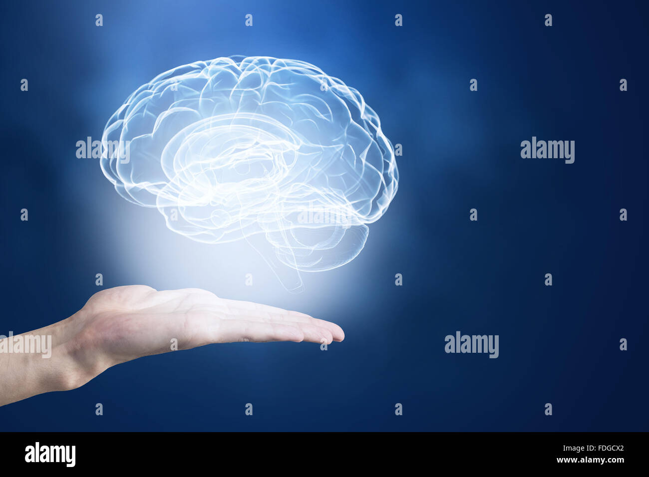 Close up of human hand holding brain Stock Photo - Alamy