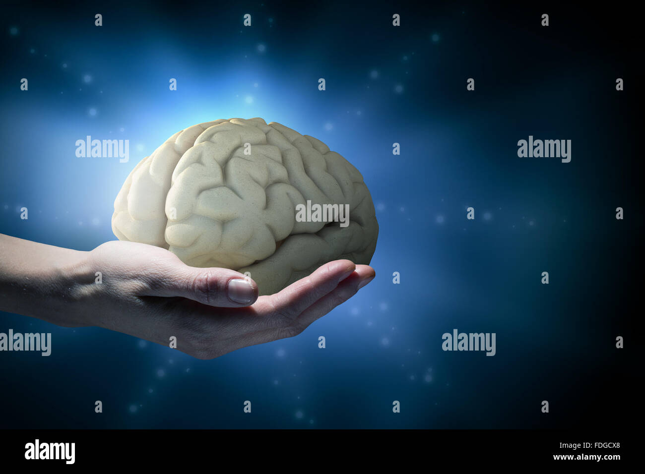Close up of human hand holding brain Stock Photo - Alamy