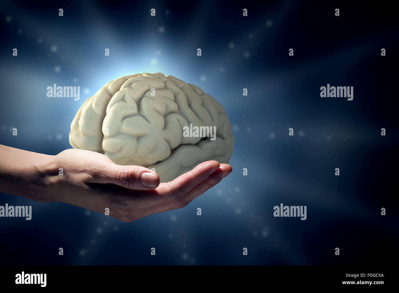 Close up of human hand holding brain Stock Photo - Alamy