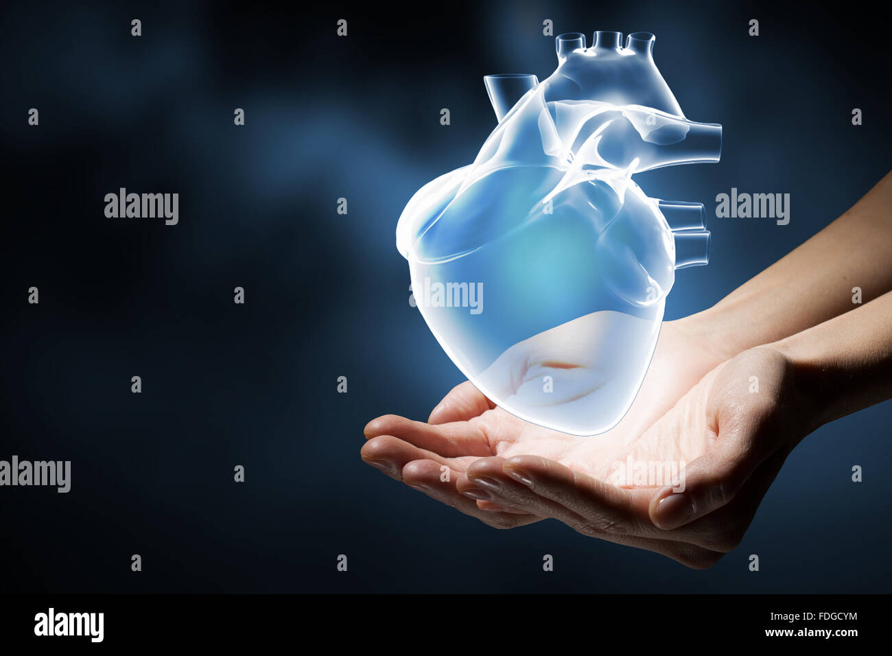 Close up of human hands holding human heart Stock Photo - Alamy