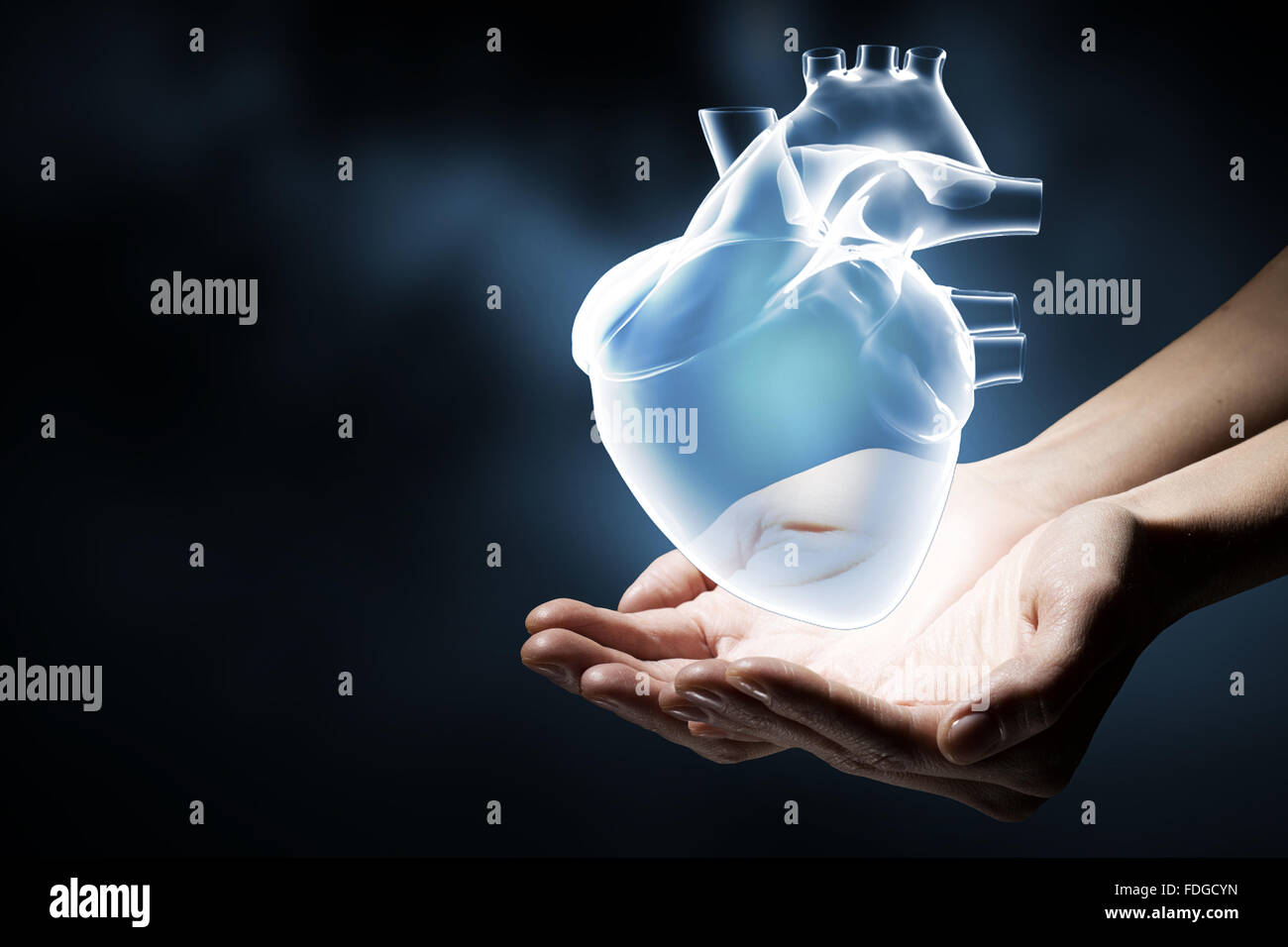 Close up of human hands holding human heart Stock Photo - Alamy