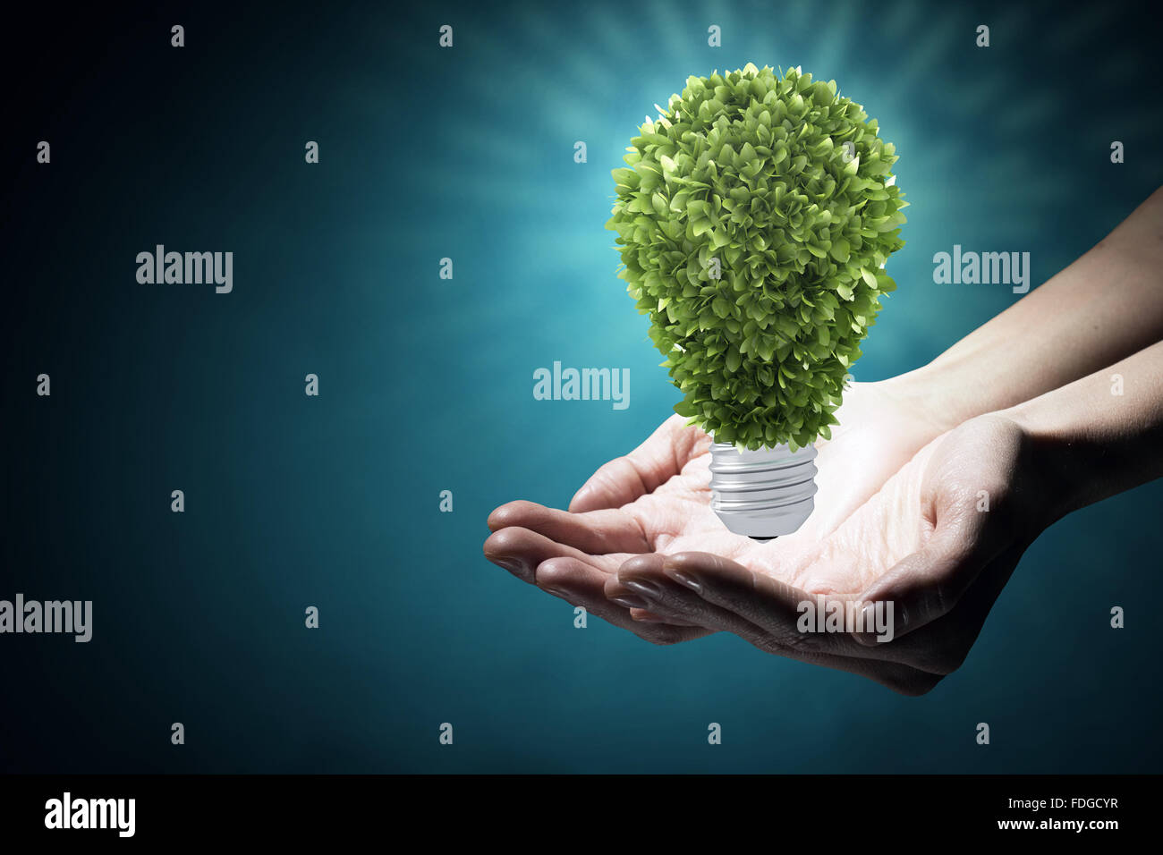 Hand holding eco light bulb energy concept Stock Photo - Alamy