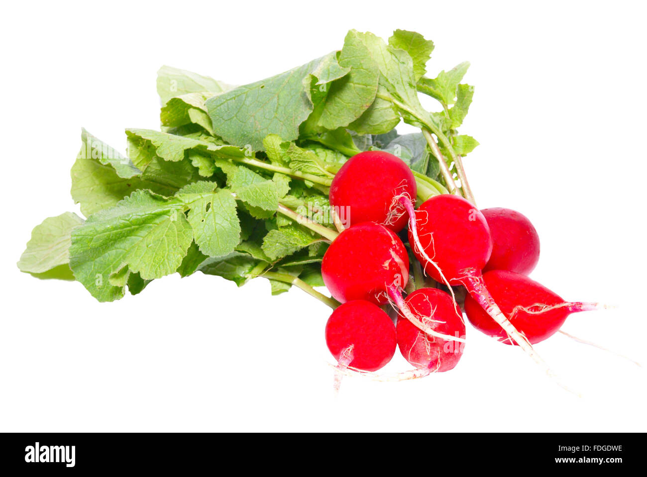 Bunch of red radish isolated on white Stock Photo - Alamy