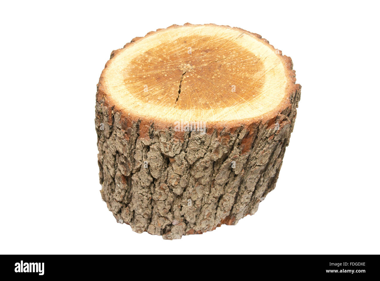 Wooden stump isolated on white Stock Photo - Alamy
