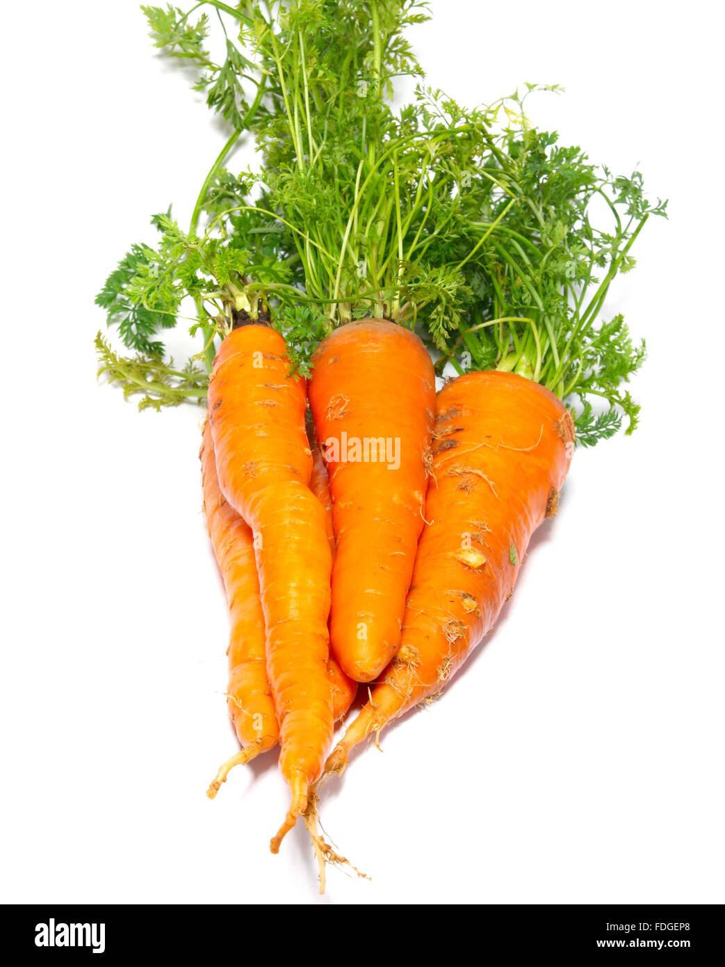 Carrots isolated on white Stock Photo - Alamy